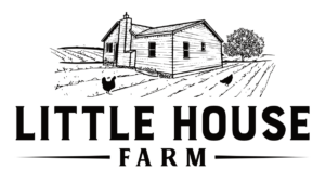 Milo (Sorghum) and Chickens: A Nutritious Grain for Your Flock